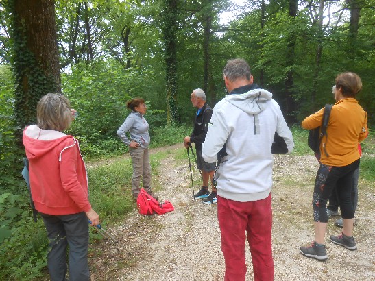 OnVaSortir! Troyes - Les Sorties - Diaporama - id=555671
